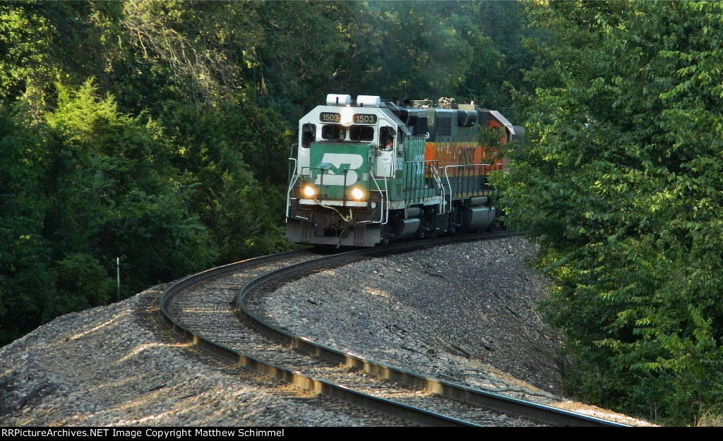 Cascade Green Leader On The Local